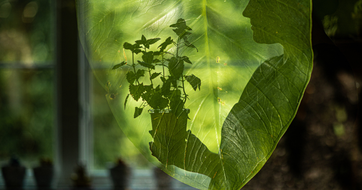 Bio. Fine Art Photography by Ksenia Mirnaya