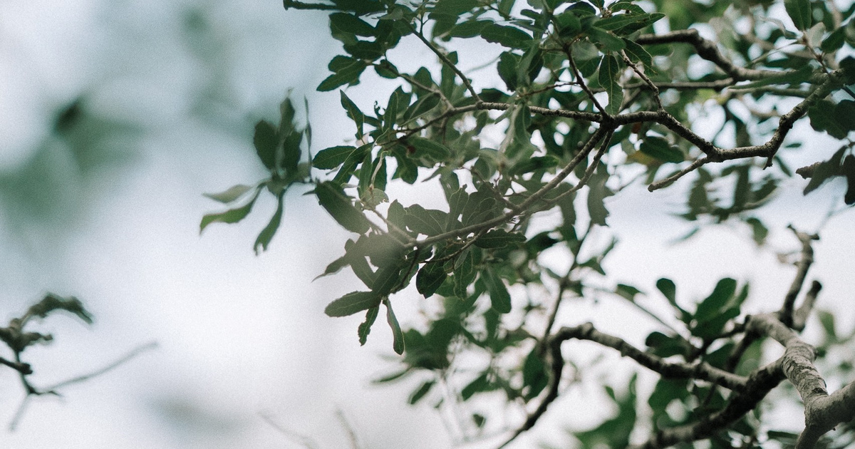 JULIE. Inna Mendelson — Photographer