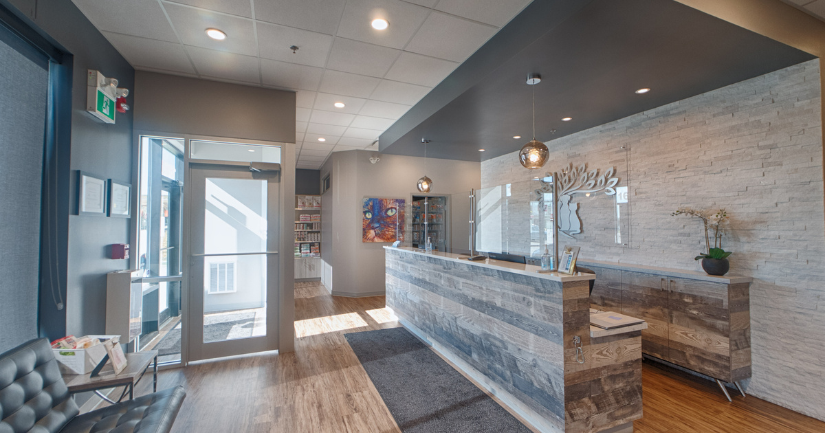 Real estate photography | Brintnell Veterinary Hospital Edmonton ...
