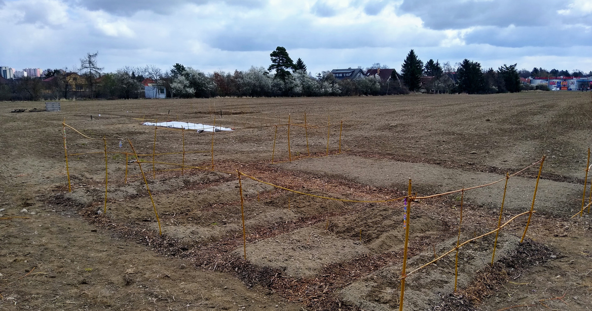 April. Kiki-Niki-Cha! Learn, play, and discover with us!