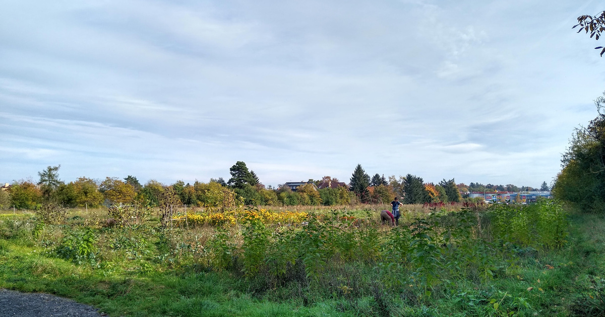 October. Kiki-Niki-Cha! Learn, play, and discover with us!