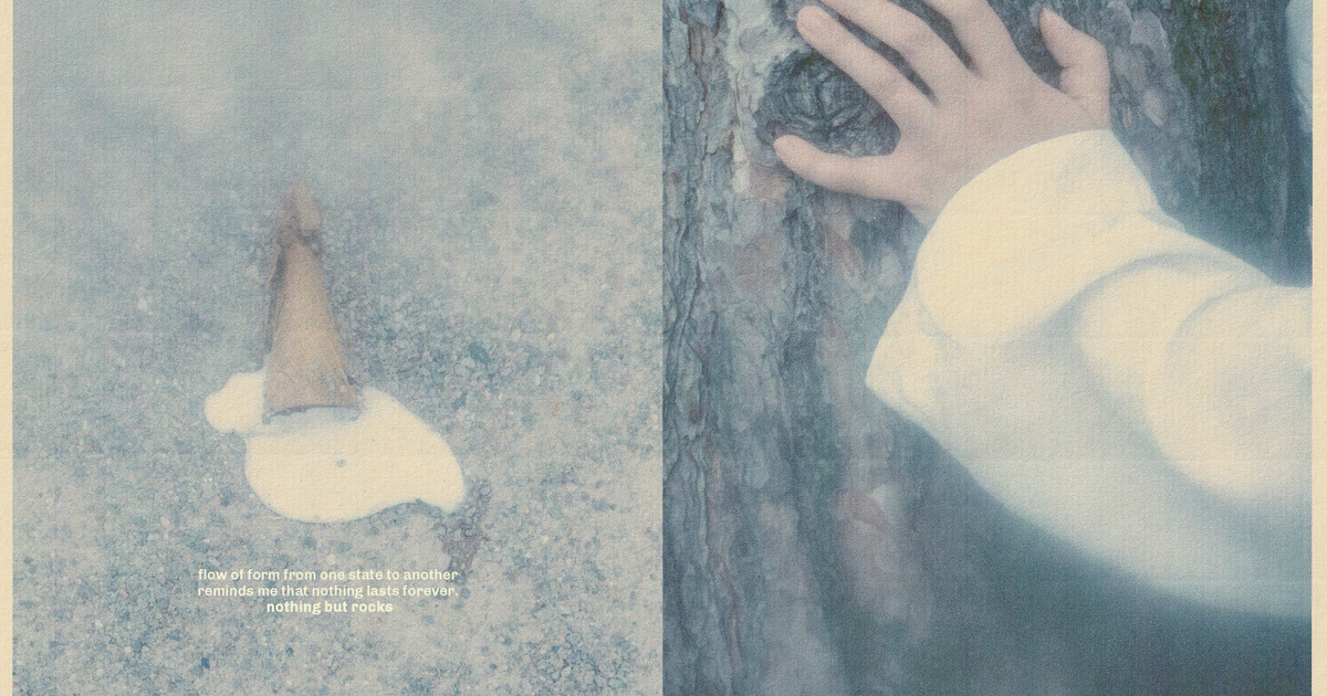 Nature: Through Vulnerability. Alexandra Kozina — Visual Artist