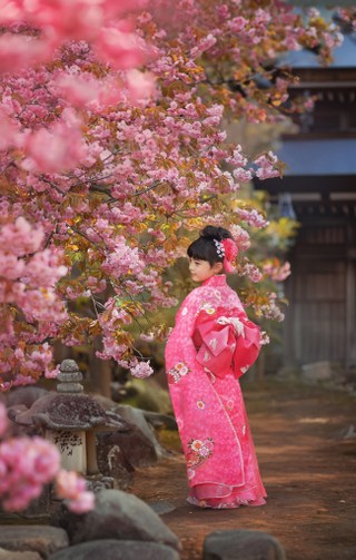 Rental kimono. Photographer in Tokyo